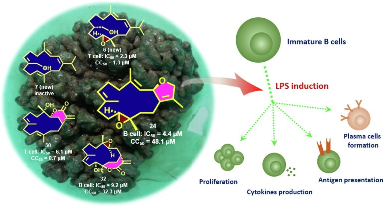 PUBLICATIONS – Wu Lab at Pitt